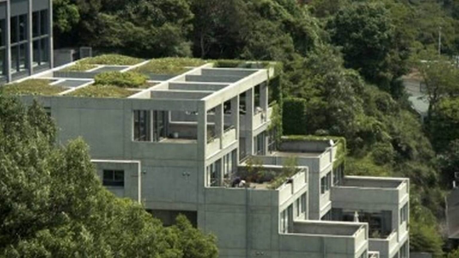 Tadao Ando Architecture & Nature | Primarc Studio