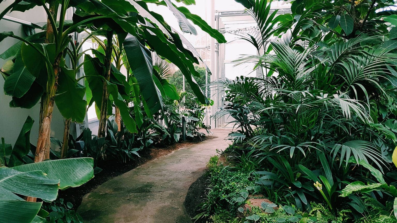 7 Principles of Landscape Design | Primarc Studio