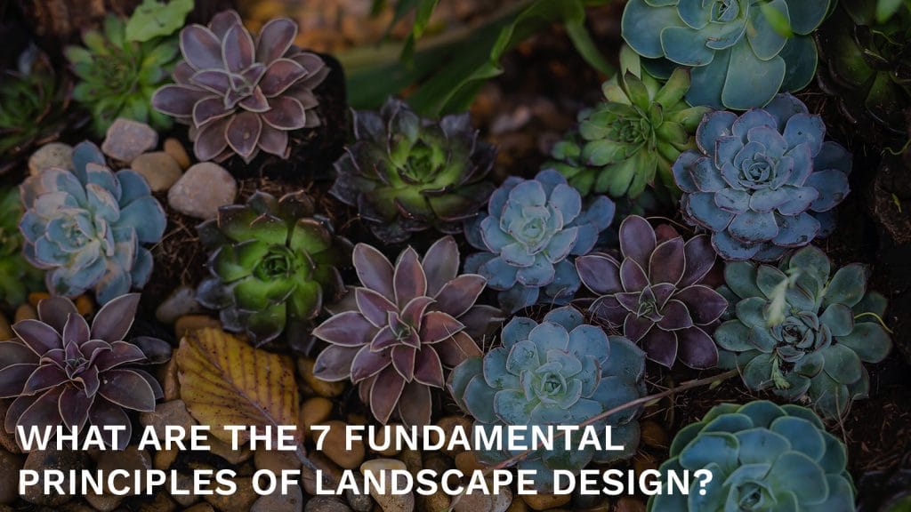 7 Principles of Landscape Design | Primarc Studio